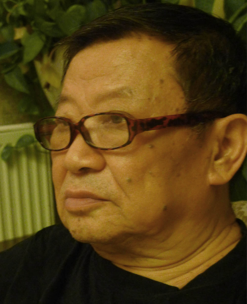 Customized by Master Ding HSU - TheoSophia